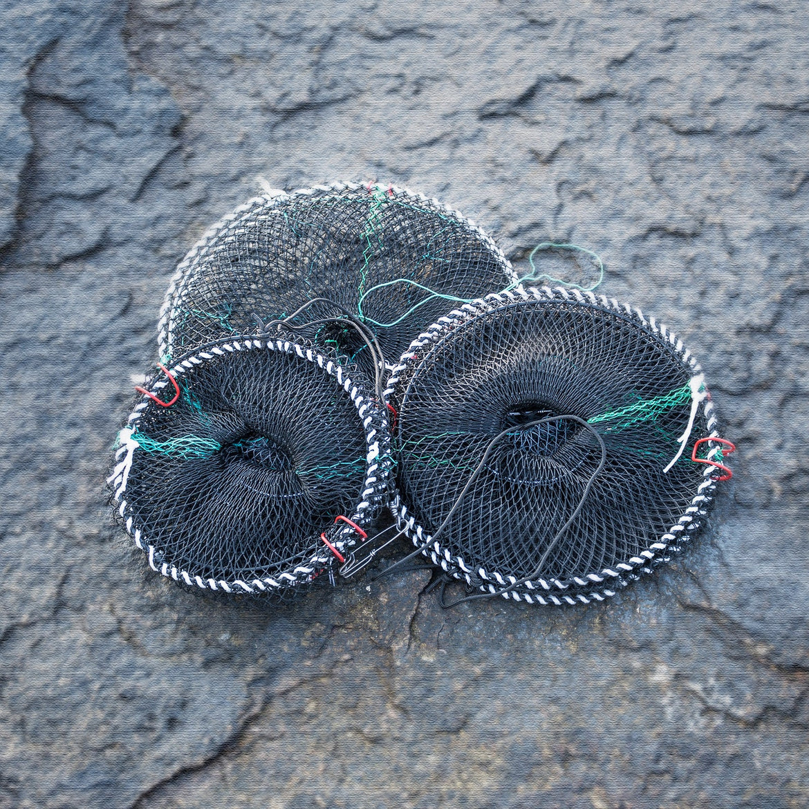 Goture Collapsible Folded Crab Trap Fishing Net Minnow Fish Crayfish C ...